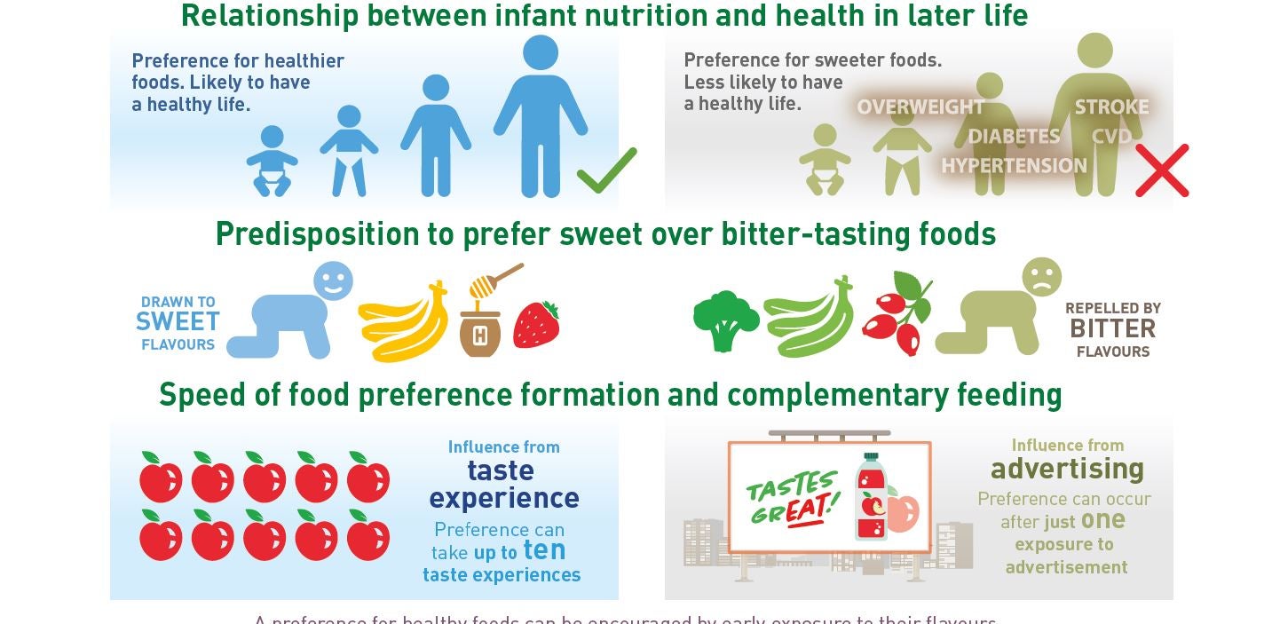 Influencing flavour perception and preference in infants for long-term ...