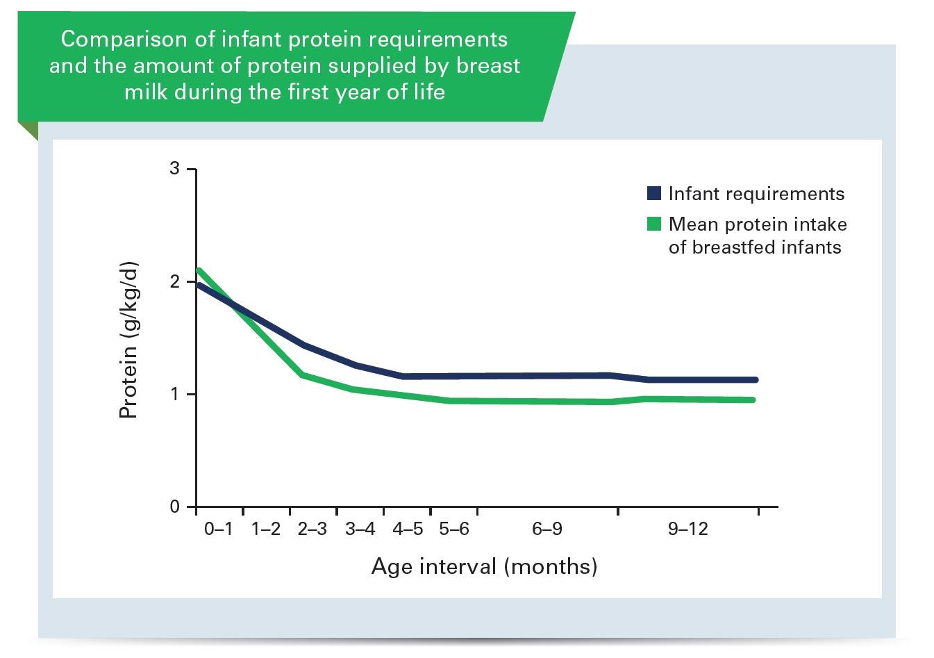 The early protein hypothesis: excessive protein intake in early infancy