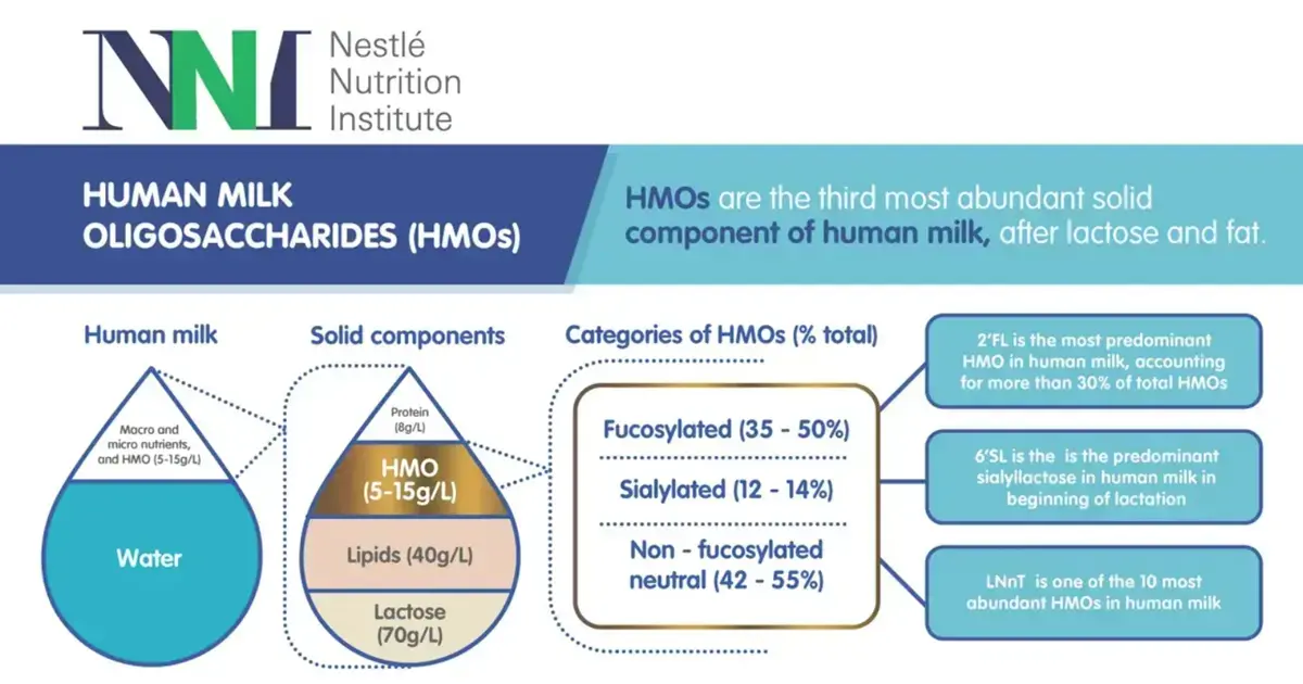 What you need to know about HMOs